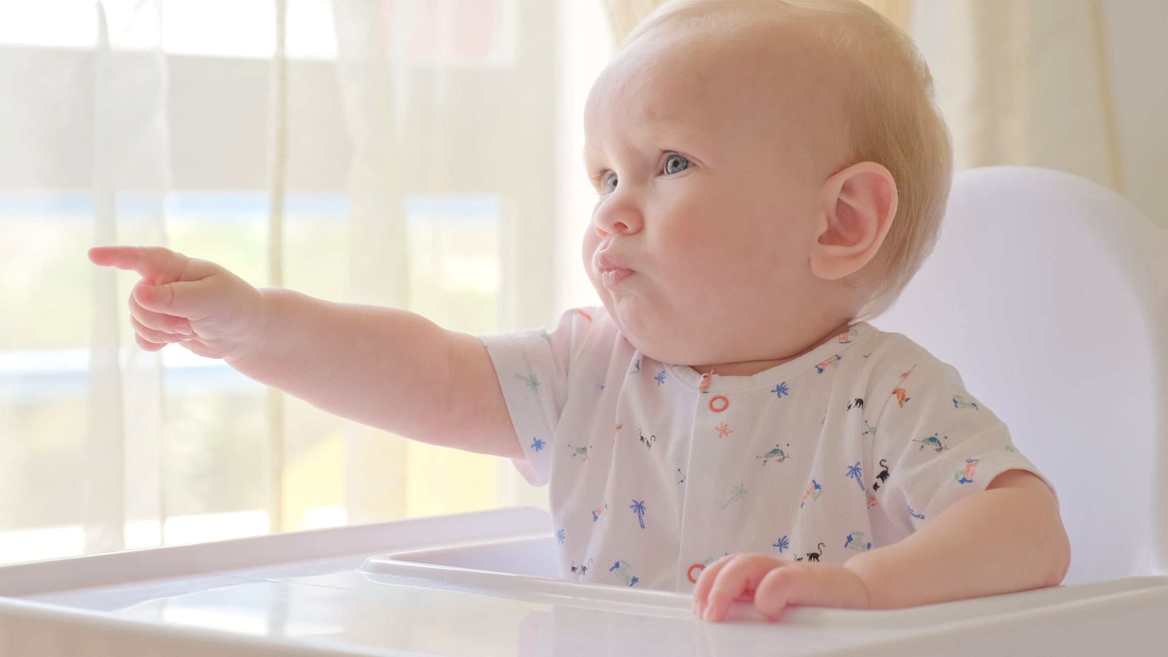 What Should Be In A Baby Sign Language Book? – Baby Sign Language by Dr ...